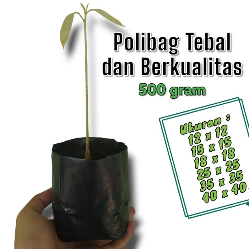 Jual POLIBAG Plastik Tanaman Berkualitas dan Tebal POLYBAG BIBIT SEMAI ...