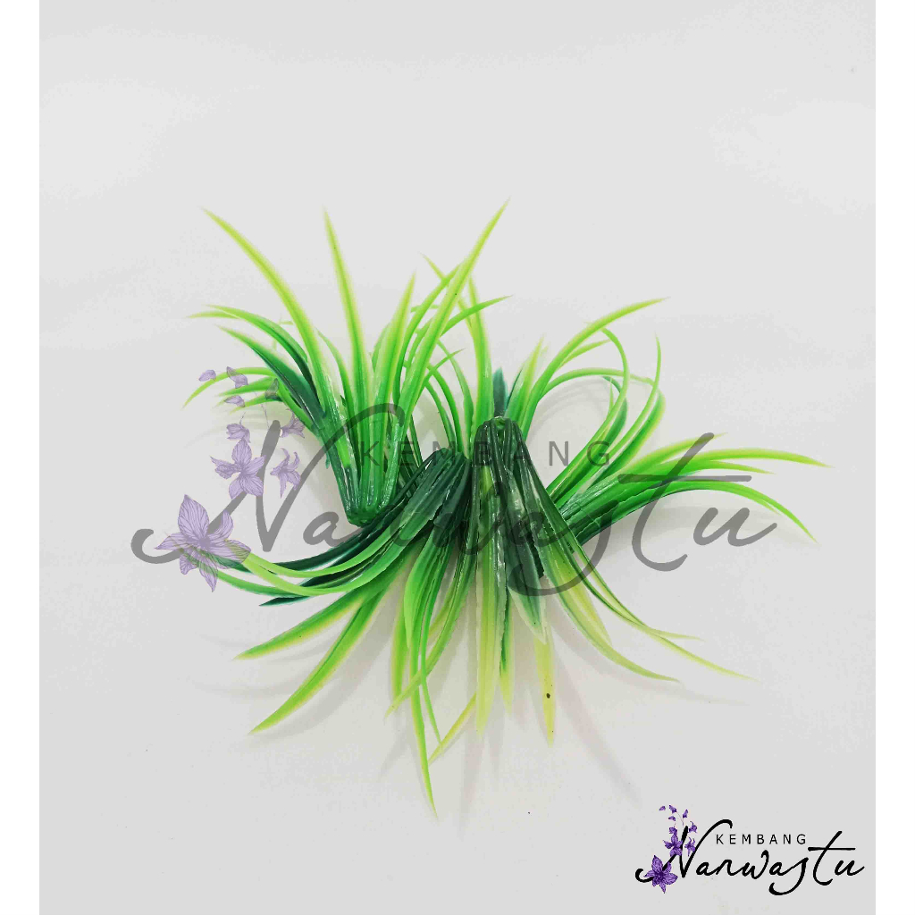 Jual Rumput Aquarium Hiasan kue Asternovi ( Harga/250 Gram) | Shopee ...