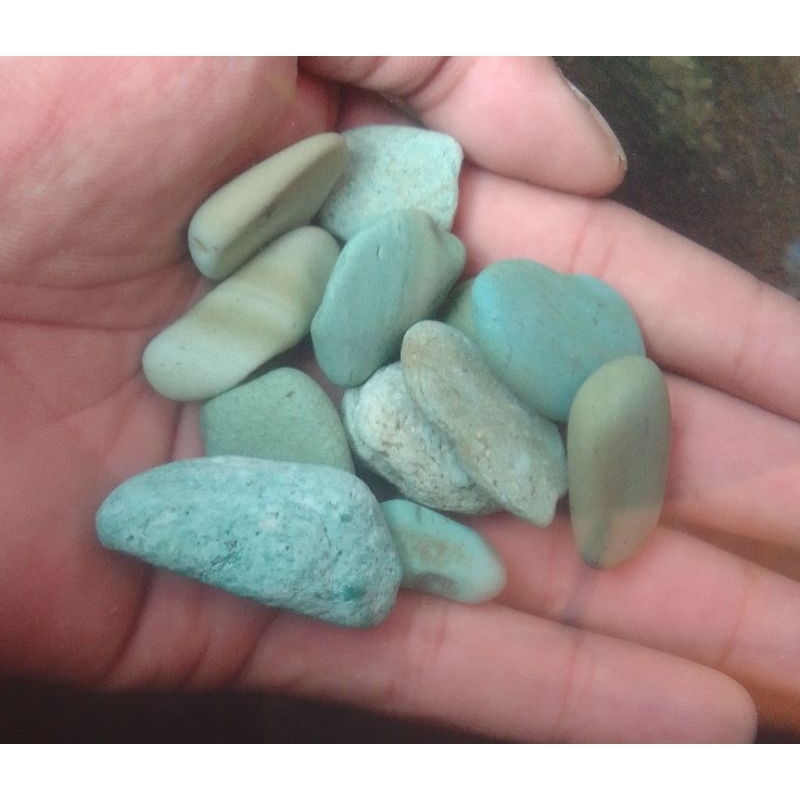 Jual Batu coral hijau flores 1kg/Batu hijau/Batu sikat hijau/batu sikat/Batu hijau/Batu alam ...