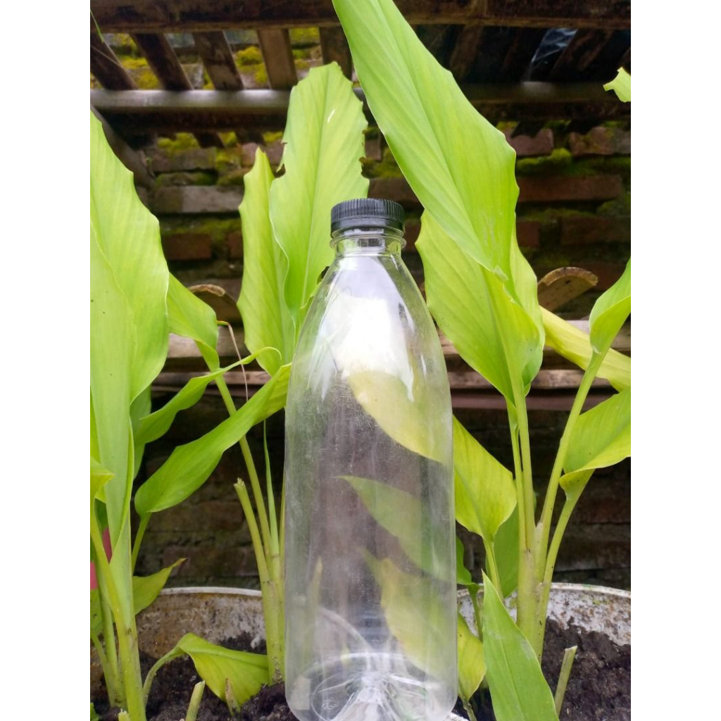 Jual botol plastik cantik 350 ml | Shopee Indonesia