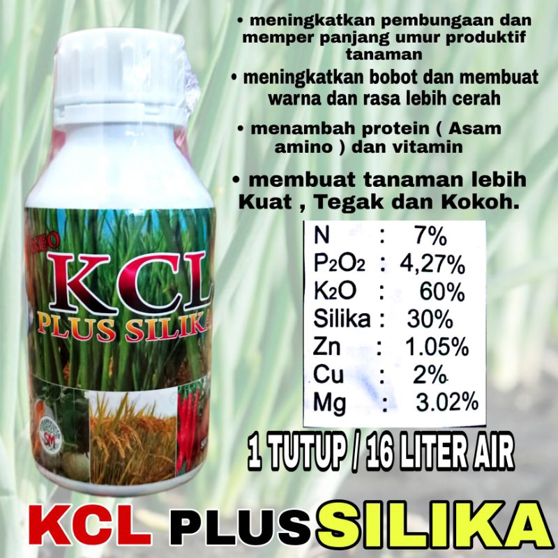 Jual KCL plus silika /pupuk daun cair / pupuk daun buah / perangsang bungah dan buah / | Shopee ...