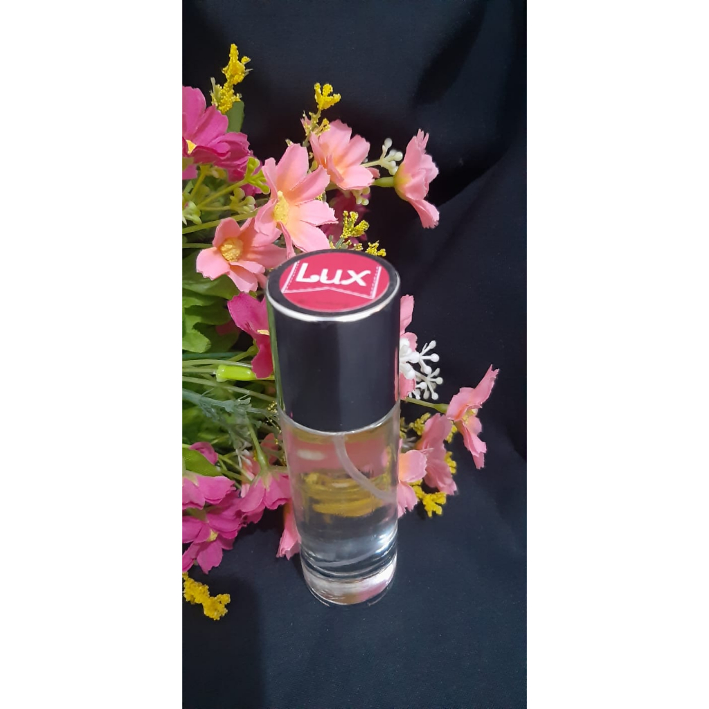 Jual PROMO PARFUM REFIL TERLARIS UNISEX 30 ML AROMA BISA REQUEST ...