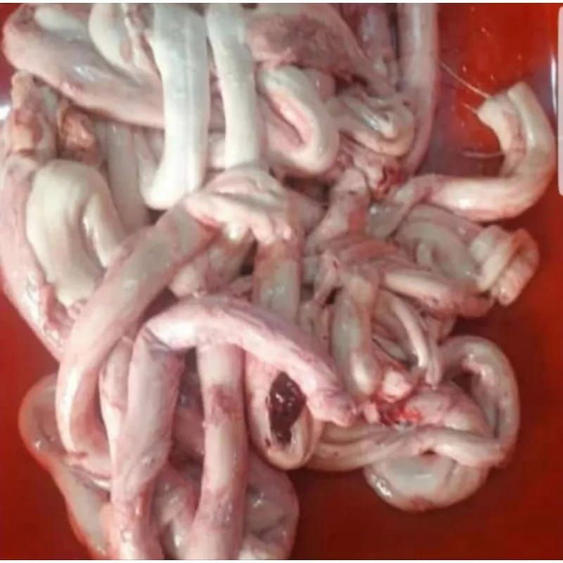 Jual otot sapi/sumsum olor | Shopee Indonesia