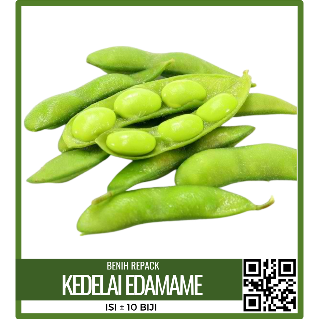 Jual BENIH BIBIT KEDELAI EDAMAME ISI 10 BIJI KEMASAN REPACK ECERAN ...
