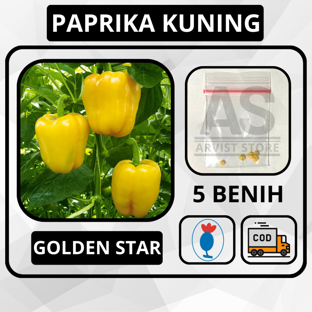 Jual 5 Butir - Benih Paprika Kuning GOLDEN STAR Known You Seed Bibit ...