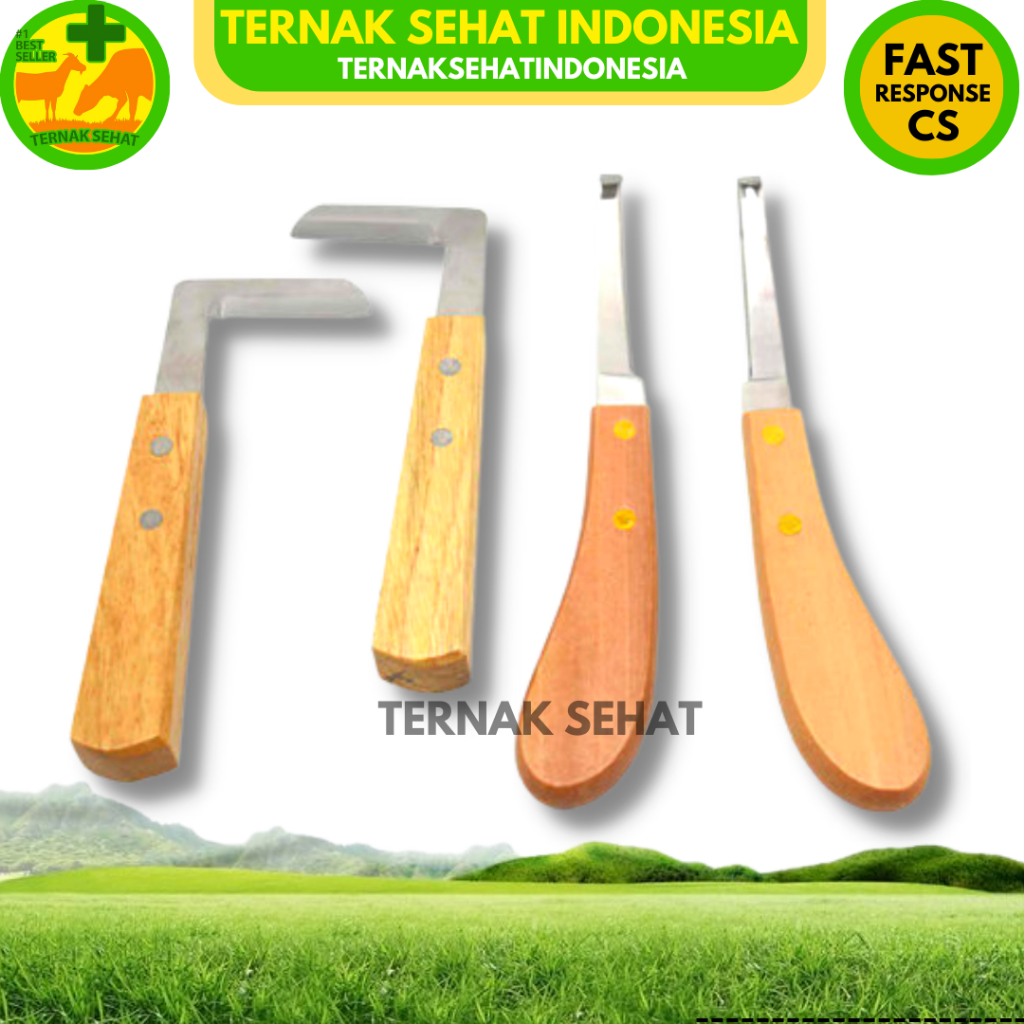 Jual PISAU POTONG KUKU SAPI KOMPLIT - ALAT POTONG KUKU SAPI - Rennet ...