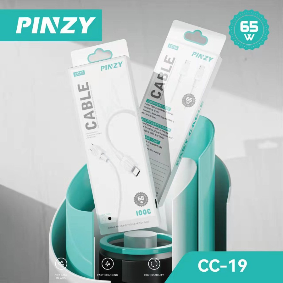 Jual HUOREI x PINZY Kabel Data Fast Charging CC19 Tipe C to C PD ...