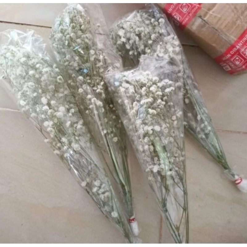Jual Bunga Baby Breath Import Original | Shopee Indonesia