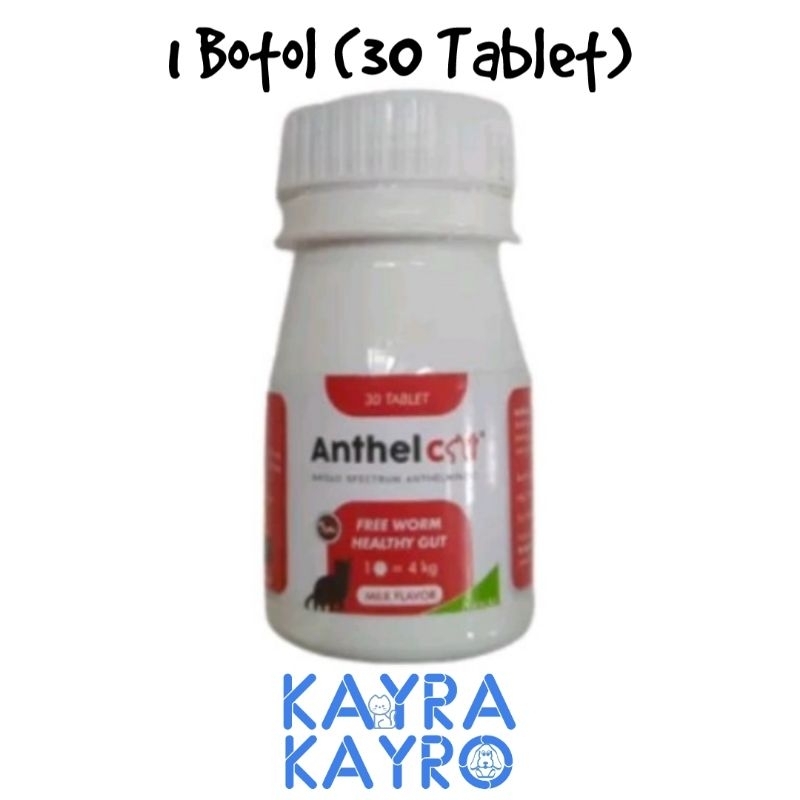 Jual Anthel Cat 30 Kapsul - Obat Cacing Kucing | Shopee Indonesia