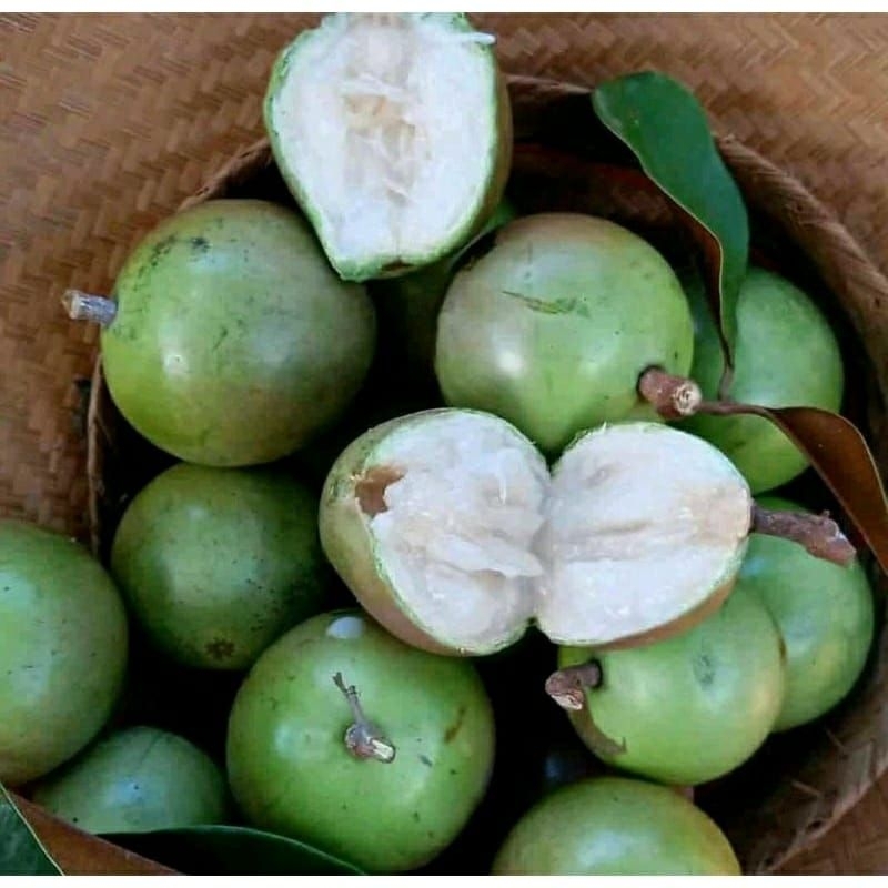 Jual Buah Kenitu /Apel susu/sawo hijau/maneccu/sawo ijo(1kg) | Shopee ...