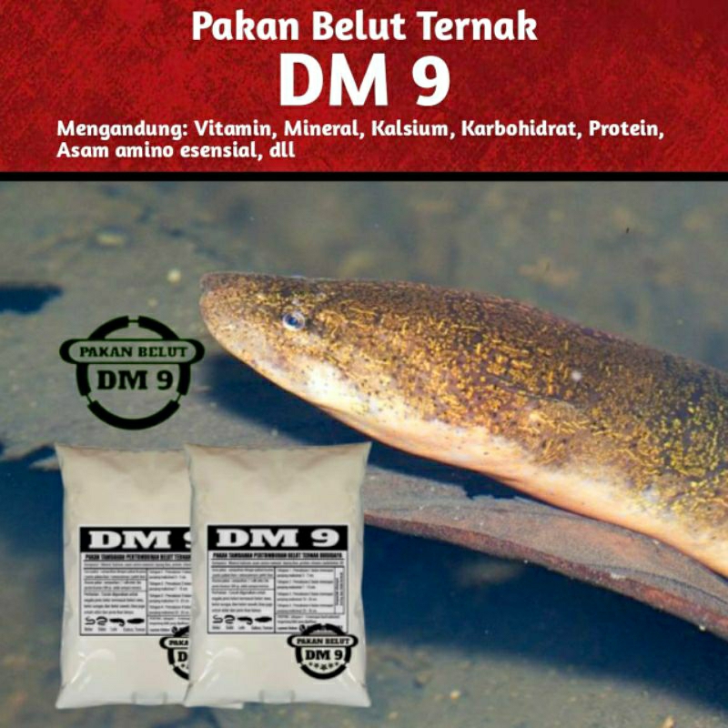 Jual Pakan belut ternak budidaya dm 9 1kg petani alternatif suplemen ...