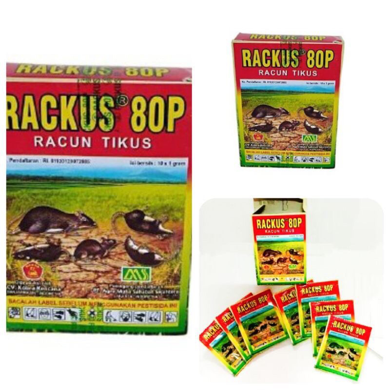 Jual Racun Tikus Rackus 80P / Pembasmi Tikus Serbuk Tabur 80 P Per Box [ISI 10 PCS] | Shopee ...