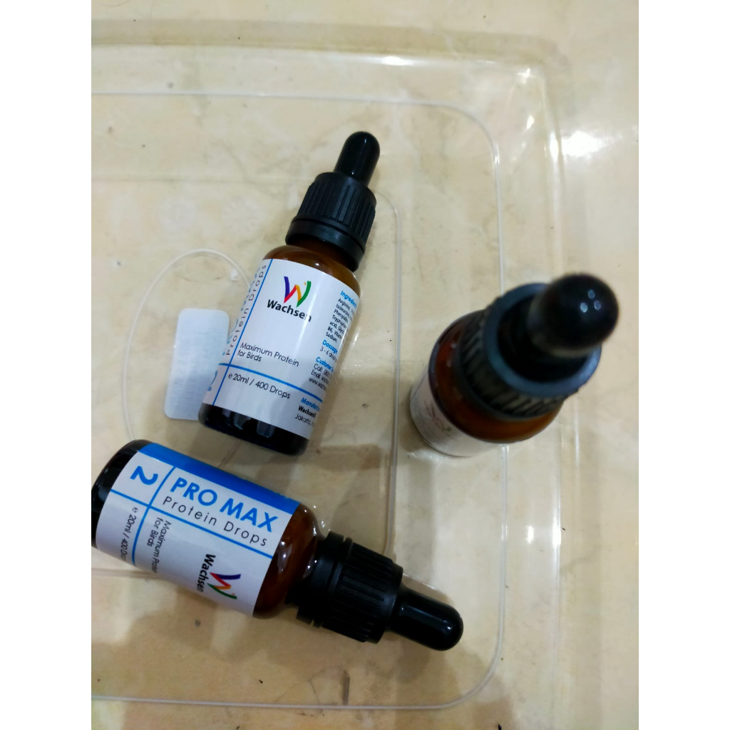 Jual VITAMIN BURUNG PROMAX (PROTEIN DROPS) PROTEIN TETES PRODUK BY ...