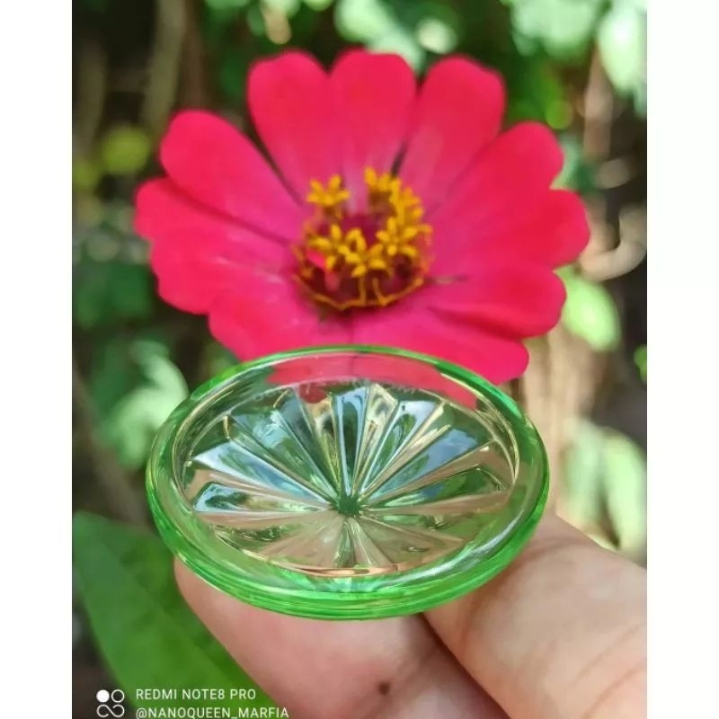 Jual Biomini Bioglass Mini MCI | Shopee Indonesia