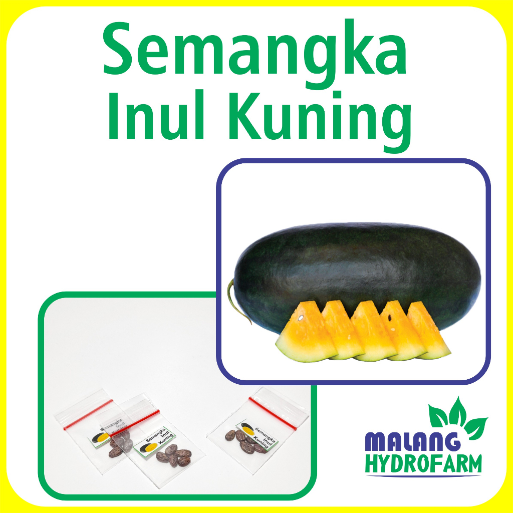 Jual Benih Semangka Inul Kuning Unggulan Berkualitas Biji Bibit Repack