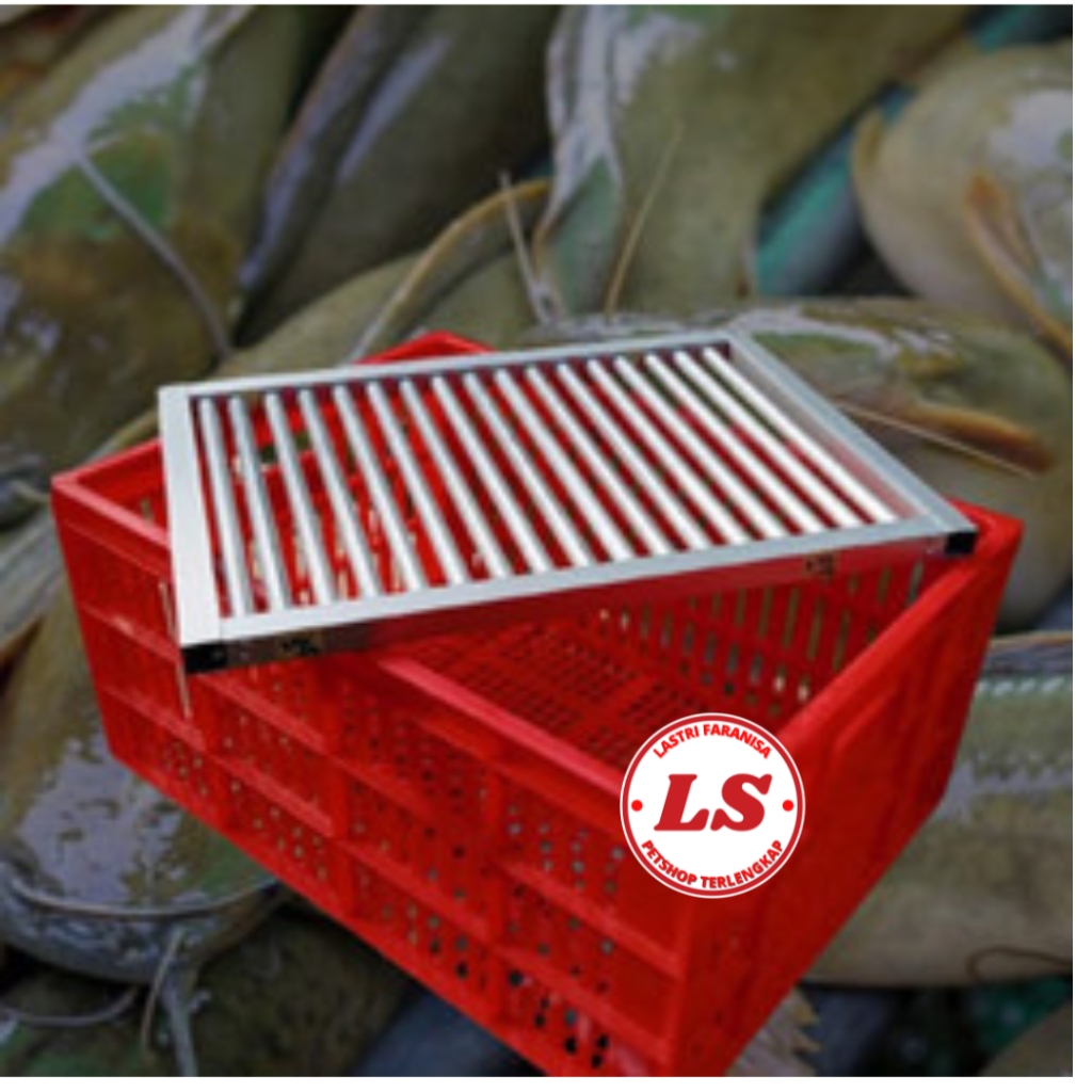 Jual KERANJANG SORTIR LELE Kranjang Sortiran Ikan Keranjang Industri ...
