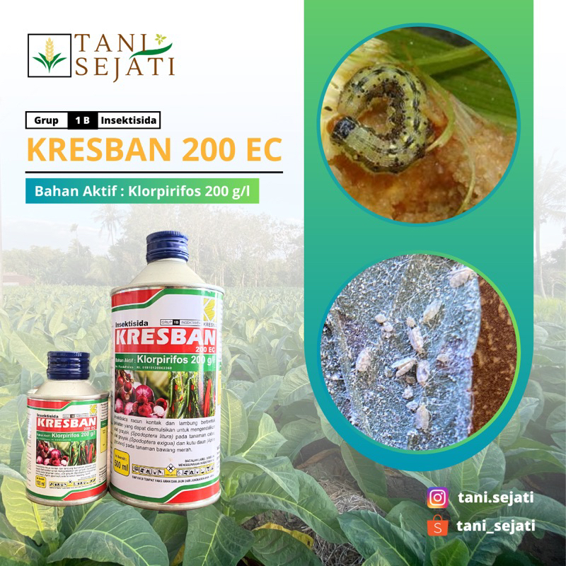 Jual Insektisida Kresban 200 EC Pembasmi Hama Ulat Kutu Kebul Penggerek ...