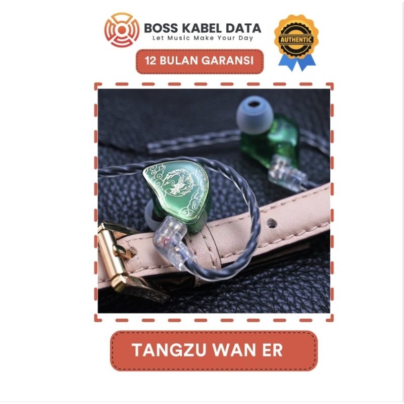 Jual Tangzu Waner Wan er In Ear Monitor Dual Pin O.78 10mm Pet ...