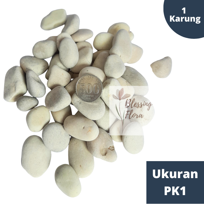 Jual Batu Koral Putih 1 Karung | Shopee Indonesia