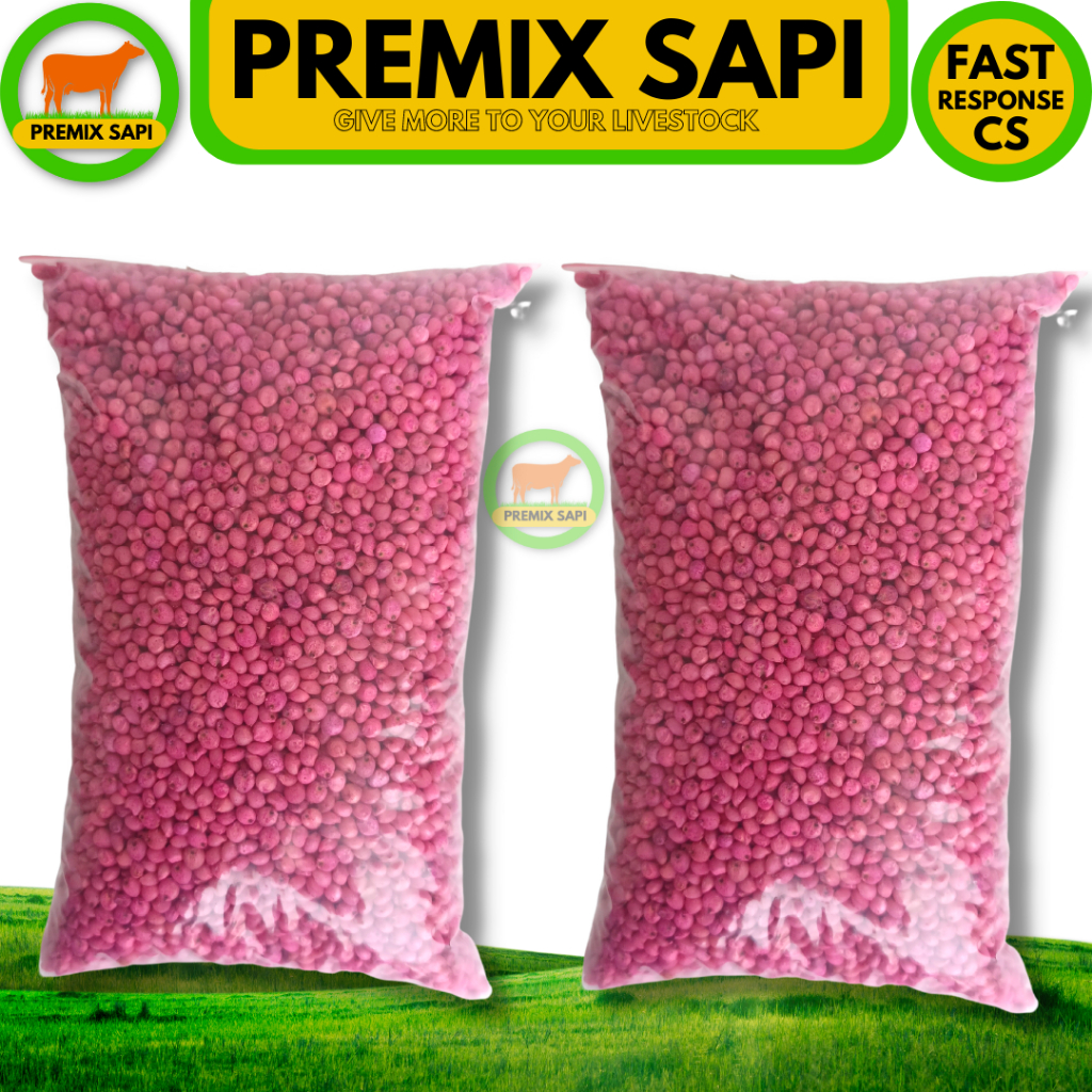 Jual BENIH SORGUM BIOGUMA 2 KEMASAN 1 KG - Sumber hijauan pakan ternak ...