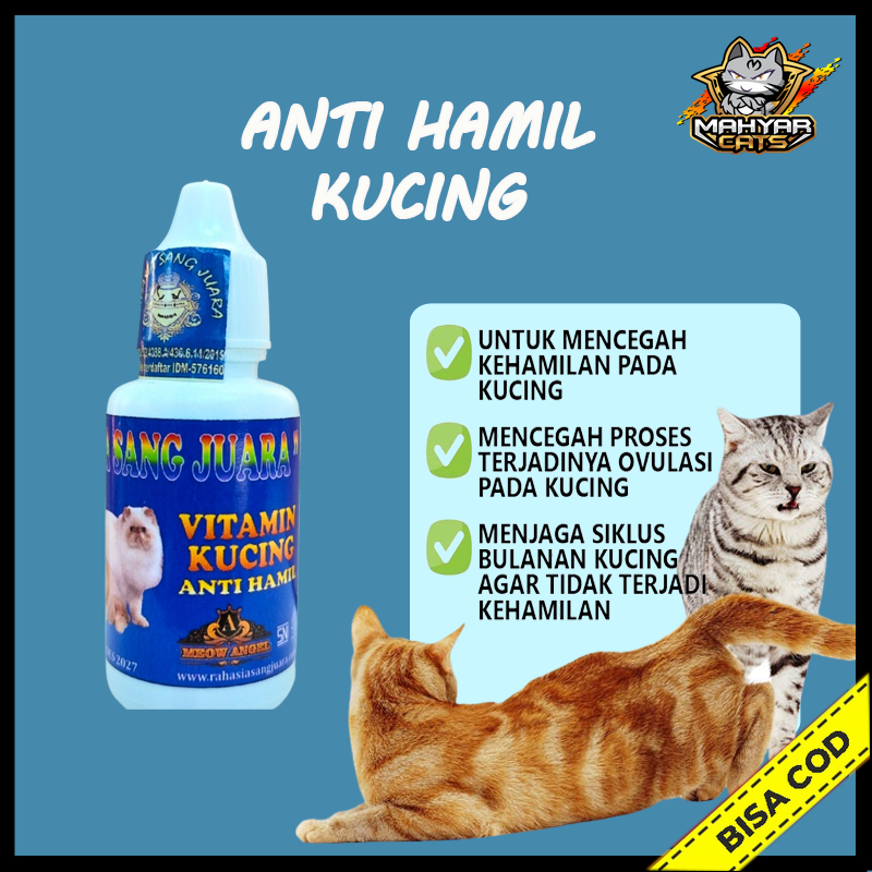 Jual Obat Anti Hamil Kucing Mencegah Kehamilan Kucing dan Proses ...