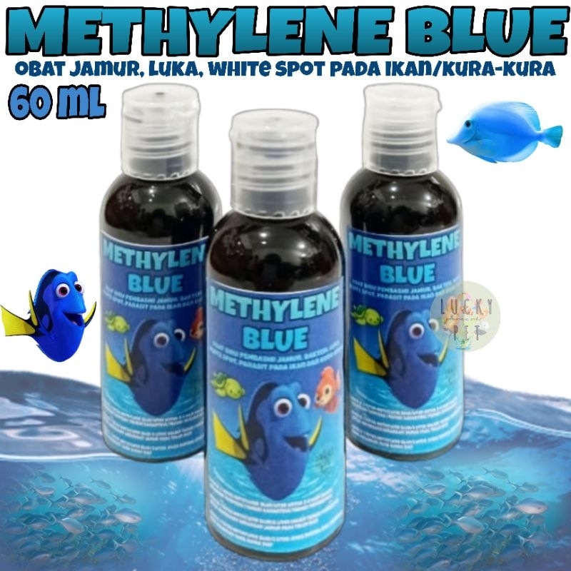 Jual Methylene Blue obat biru antibiotik ikan obat jamur luka white spot parasit bakteri ikan ...