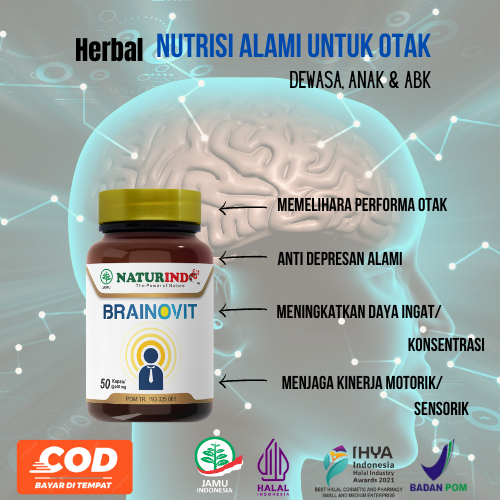 Jual Obat konsentrasi-daya ingat,anti depresan alami,menstabilkan emosi ...