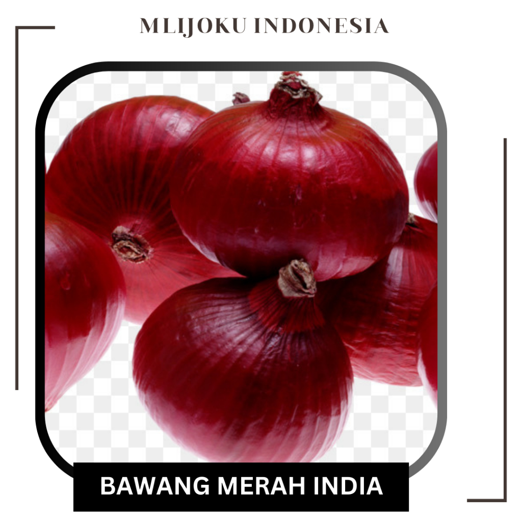 Jual Bawang Merah India Super, 100gr, 250gr, 500gr | Shopee Indonesia