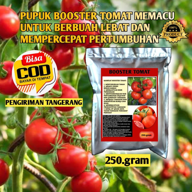 Jual Pupuk Booster Tomat Organik Perangsang buah dan Bunga untuk melebatkan dan menyuburkan isi ...