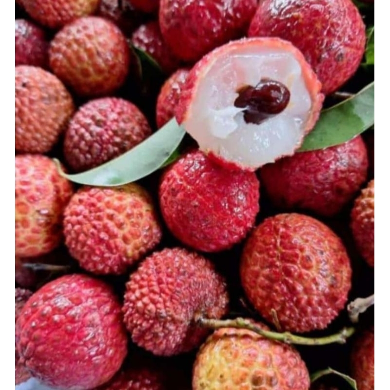 Jual Buah leci Merah per kg | Shopee Indonesia