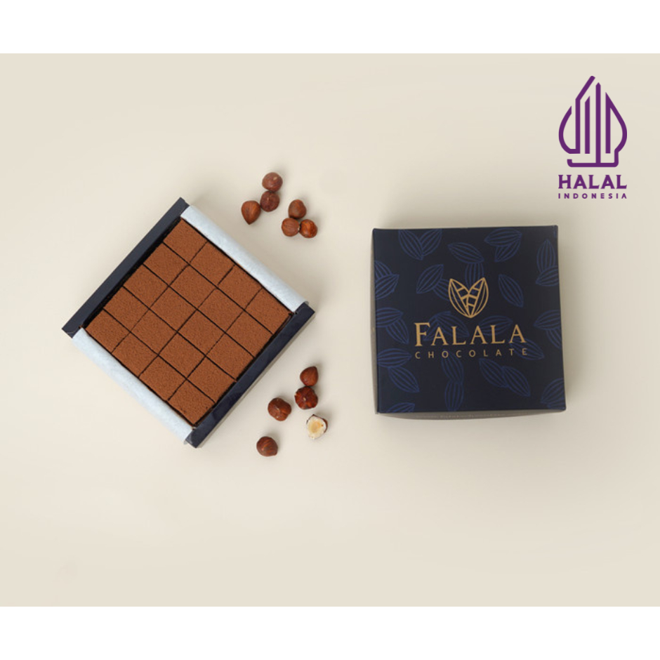 Jual Falala Hazelnut Chocolate Small Box | Japanese Nama Chocolate ...