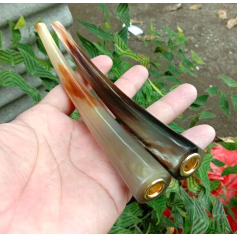 Jual ONCE PIPA TANDUK KERBAU SUPER PANJANG | Shopee Indonesia