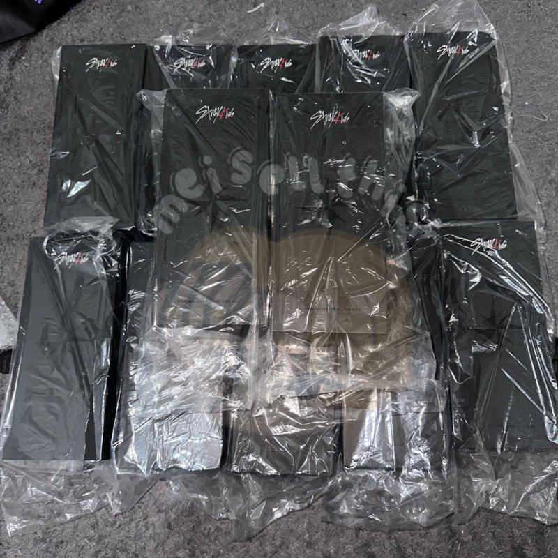 Jual [PLNSN] SKZ LS V2 | Shopee Indonesia