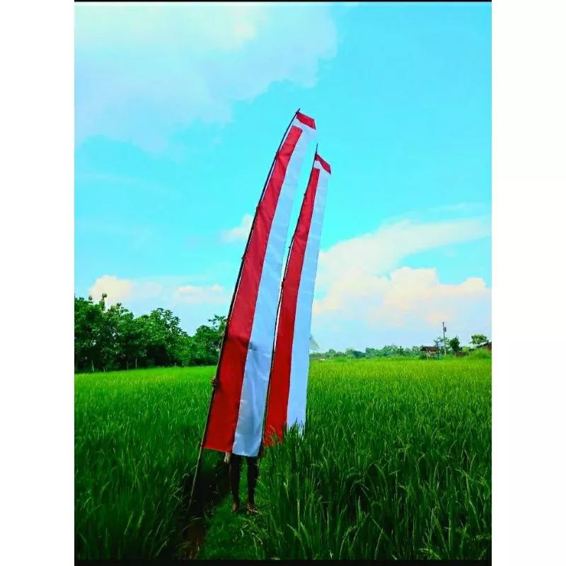Jual RADJ Bendera Layur Merah Putih ukuran 4 meter, 5 meter dan 6 meter ...