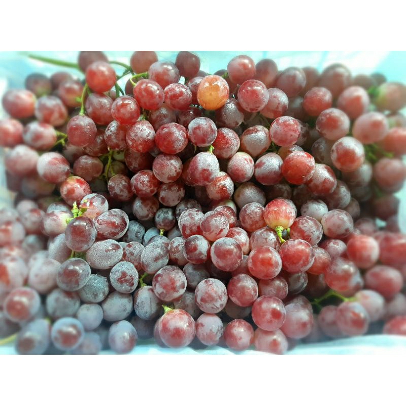 Jual Buah Anggur Merah RRC (250gr) | Shopee Indonesia