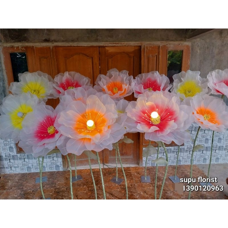 Jual kelopak bunga gradasi diameter 65cm | Shopee Indonesia