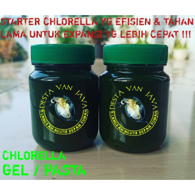 Jual CHLORELLA GEL / PASTA ( STARTER KULTUR CHLORELLA ) | Shopee Indonesia