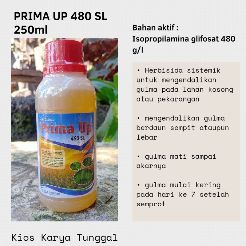 Jual herbisida prima up 480 SL 250ml | Shopee Indonesia