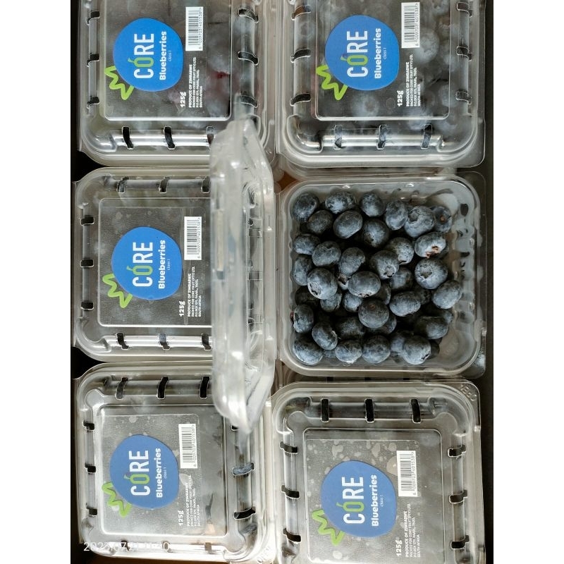 Jual Blueberry RRC 125gr | Shopee Indonesia