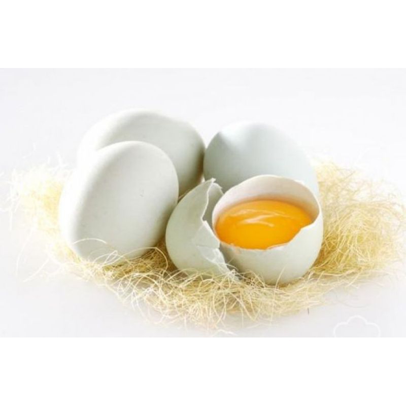 Jual Telur bebek mentah perbutir | Shopee Indonesia