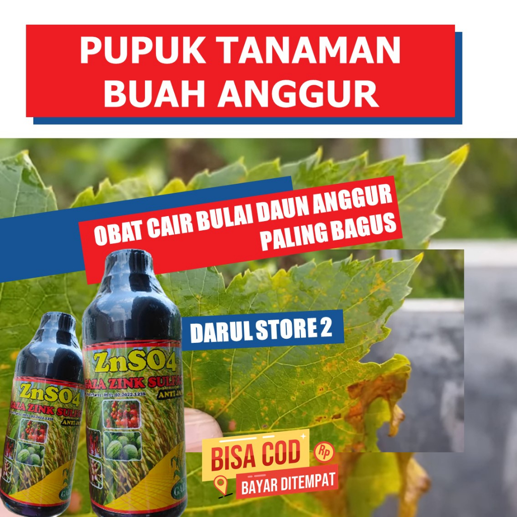 Jual Fungisida Menekan Bulai Buah Anggur ZNSO GAZA ZINK SULFATE Paling ...