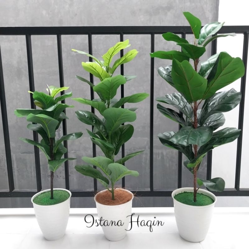 Jual Set Pohon Ketapang Artificial 70cm 80cm PLUS POT | Shopee Indonesia