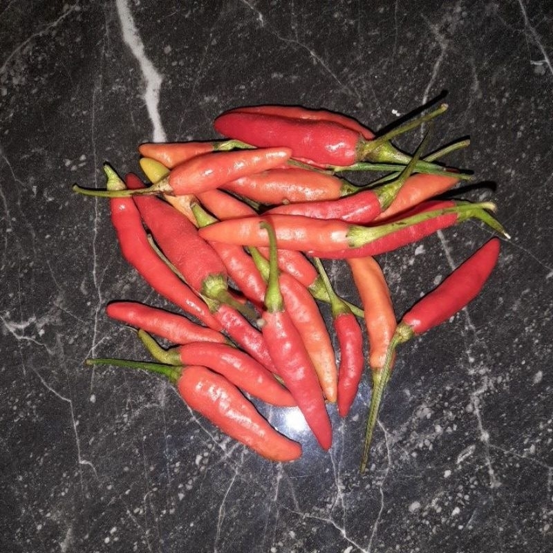 Jual cabe rawit merah 250 gram | Shopee Indonesia