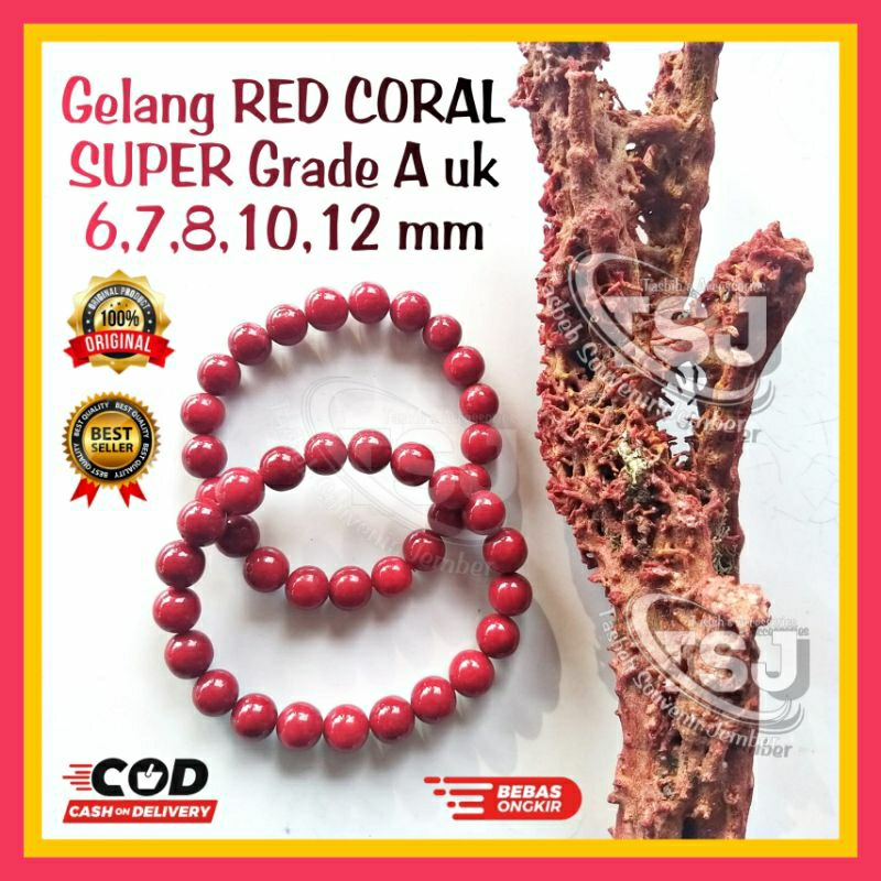 Jual Gelang RED CORAL MARJAN Grade A 100% ORIGINAL Batu Karang Merah ...