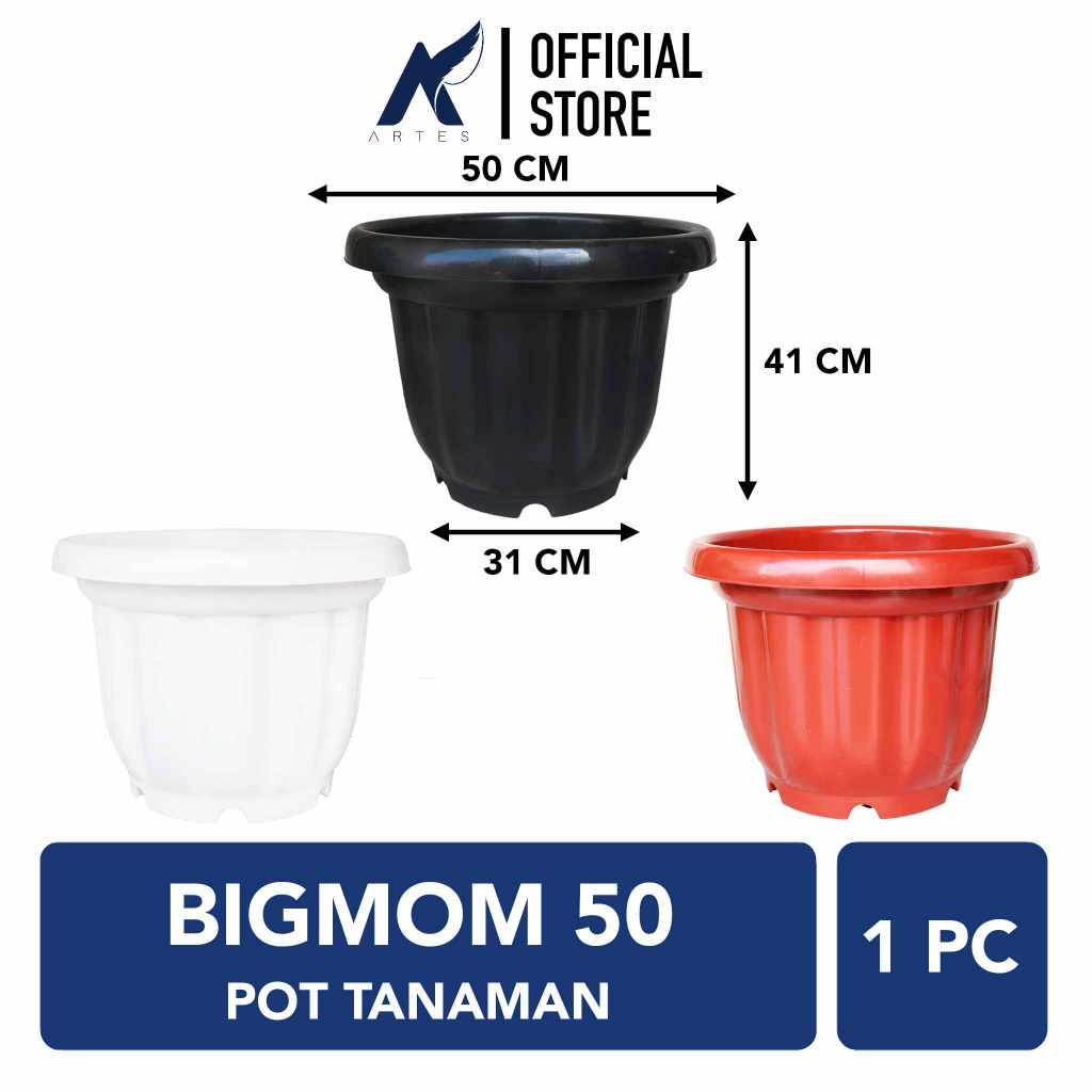 Jual GOJEK GRAB ONLY GOL BIGMOM 50 Pot Tanaman Tumbuhan Bunga Pohon ...