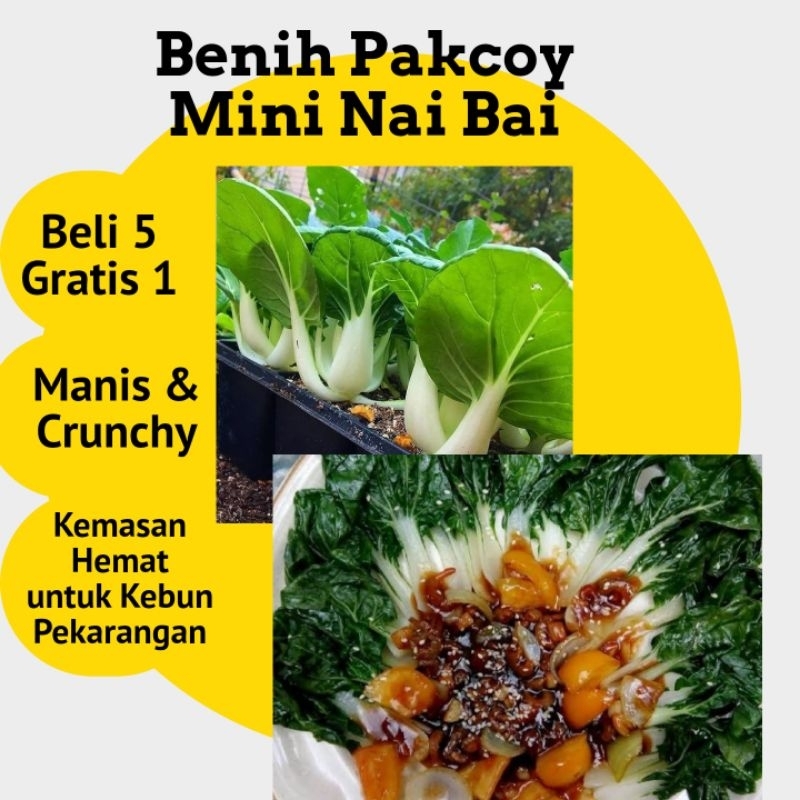 Jual Benih Pakcoy Mini Nai Bai Manis Renyah | Shopee Indonesia