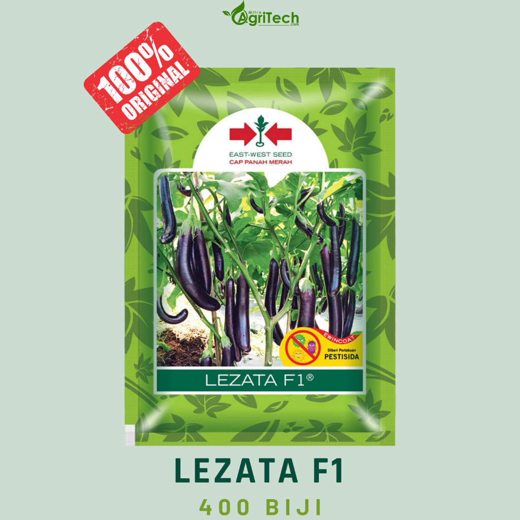 Jual BENIH BIBIT TERONG UNGU LEZATA F1 ISI 400 BIJI HIBRIDA CAP PANAH MERAH | Shopee Indonesia
