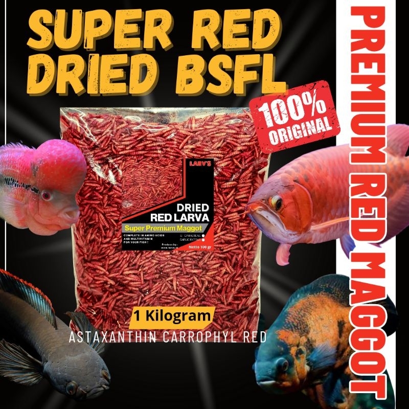 Jual SUPER RED DRIED MAGGOT PREMIUM 1KG maggot kering dengan ...