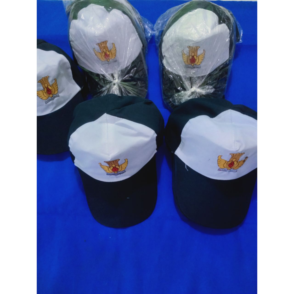 Jual TOPI SEKOLAH SMP LENGKAP BIRU PUTIH,BIRU BIRU DAN POLOS | Shopee ...