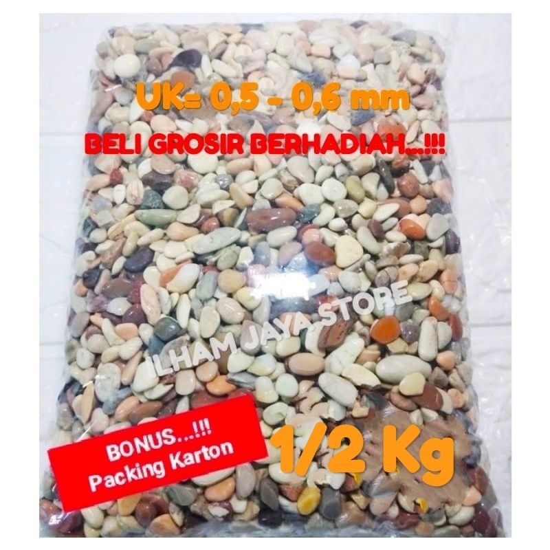 Jual Batu koral pancawarna 1/2 kg batu aquarium batu hias tanaman ...